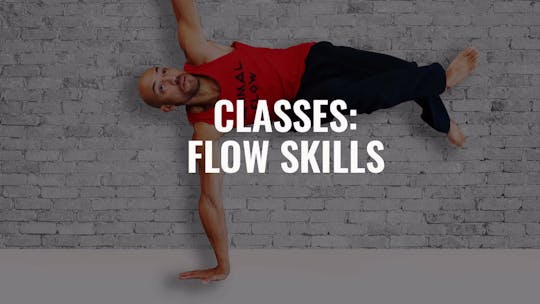 Free Sample Flow | Animal Flow