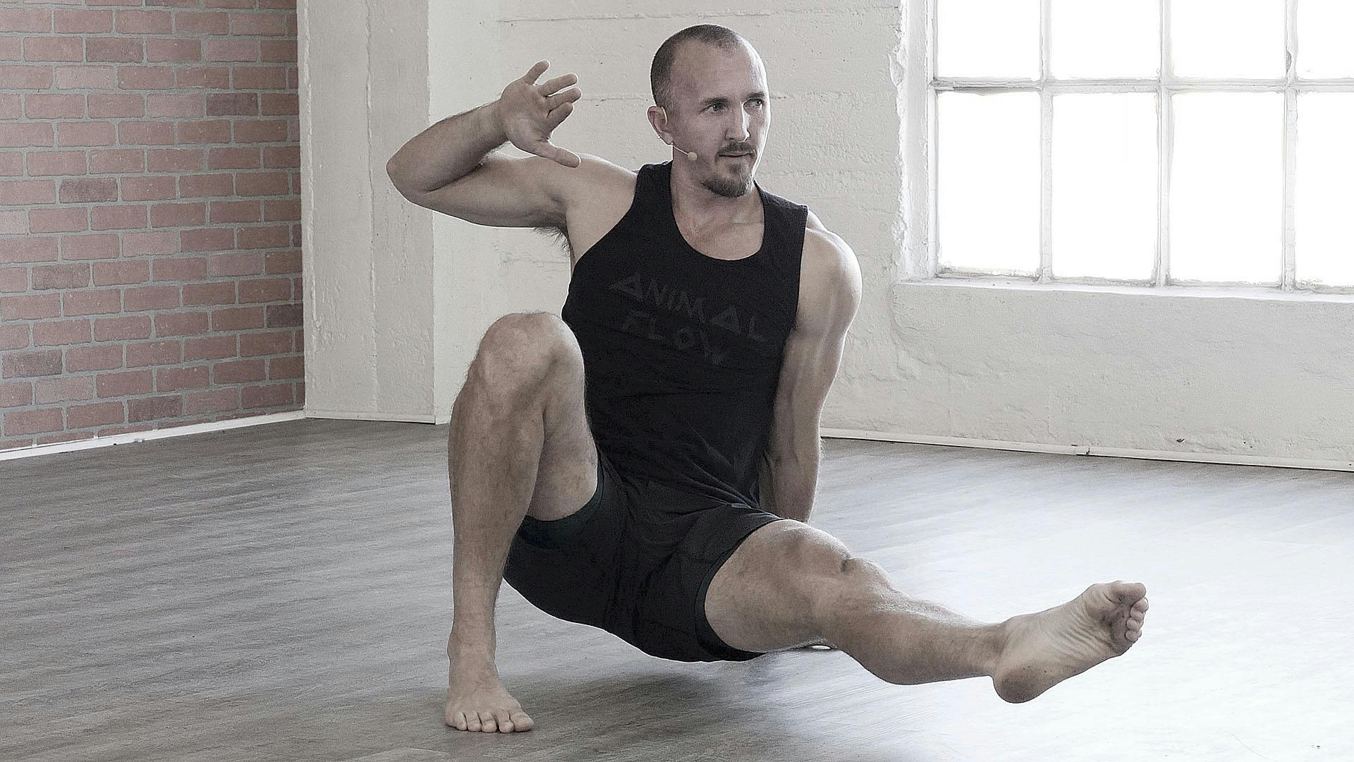 Flow with Clif #1 (Beginner) | Flows: Beginner Level on Animal Flow