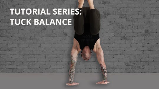 Free Sample Flow | Animal Flow