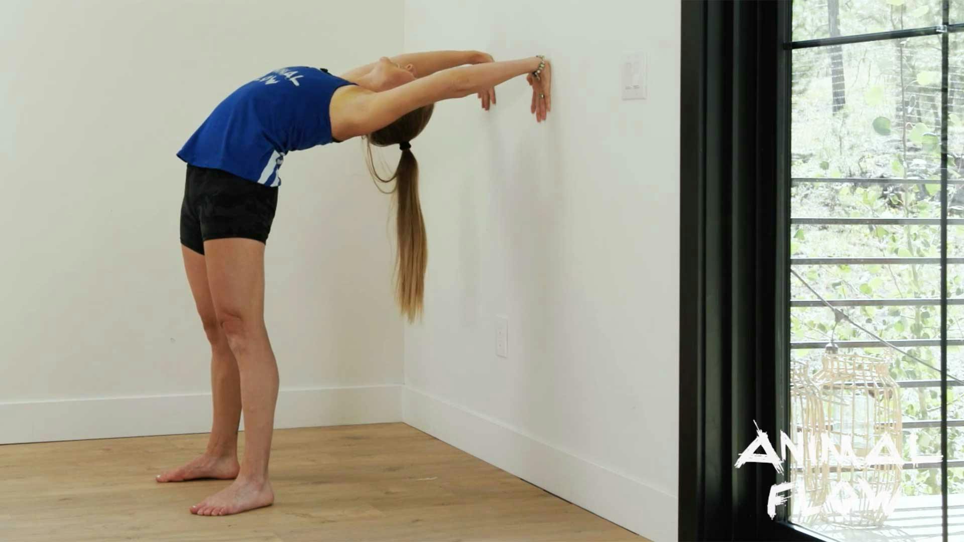 FCR Series Video 10 (Drills & Skills 1) Fallback with Rotation | Animal ...