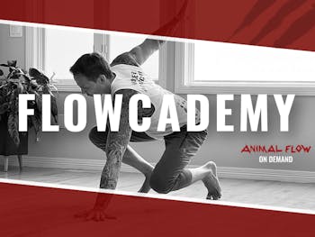 Welcome to Animal Flow On Demand