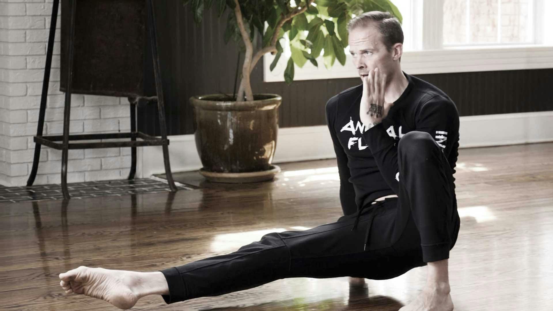 Flow with Mike #51 (Beginner) | Flows: Beginner Level on Animal Flow