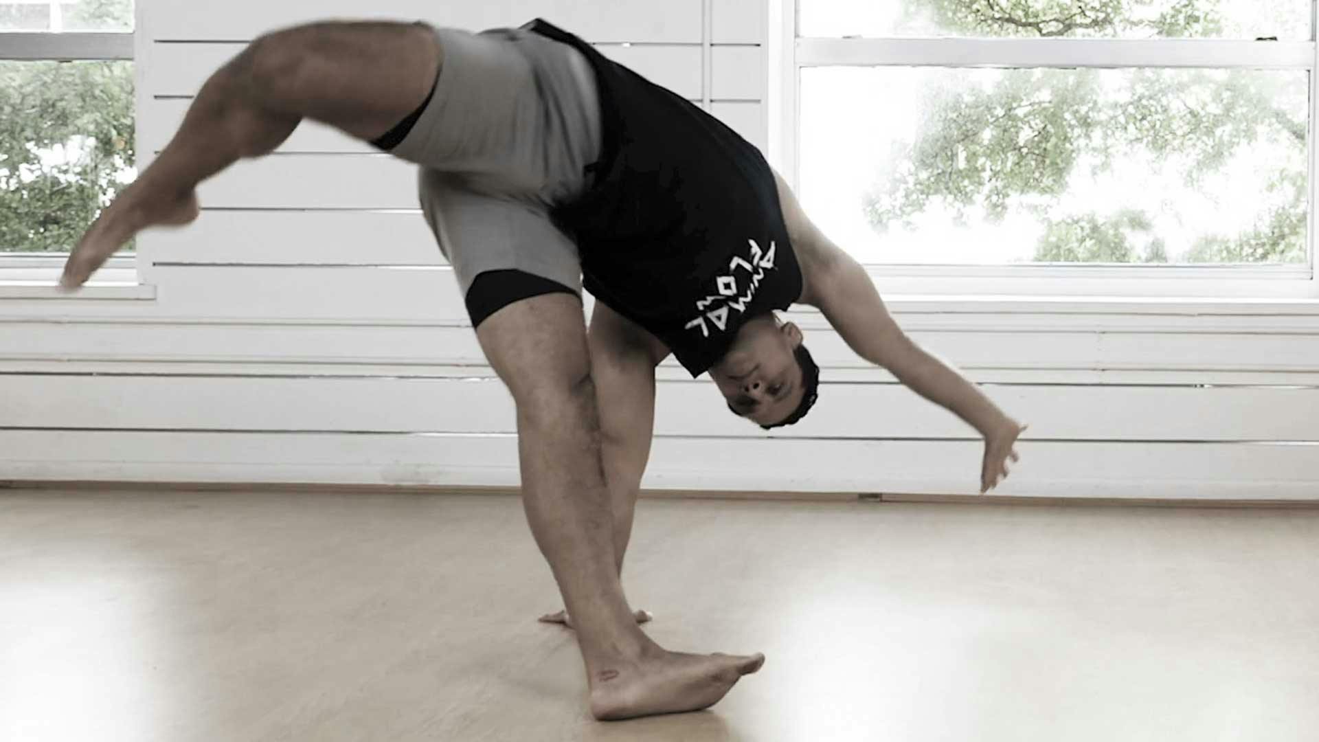 Flow with Freddy #1 (Beginner) | Animal Flow