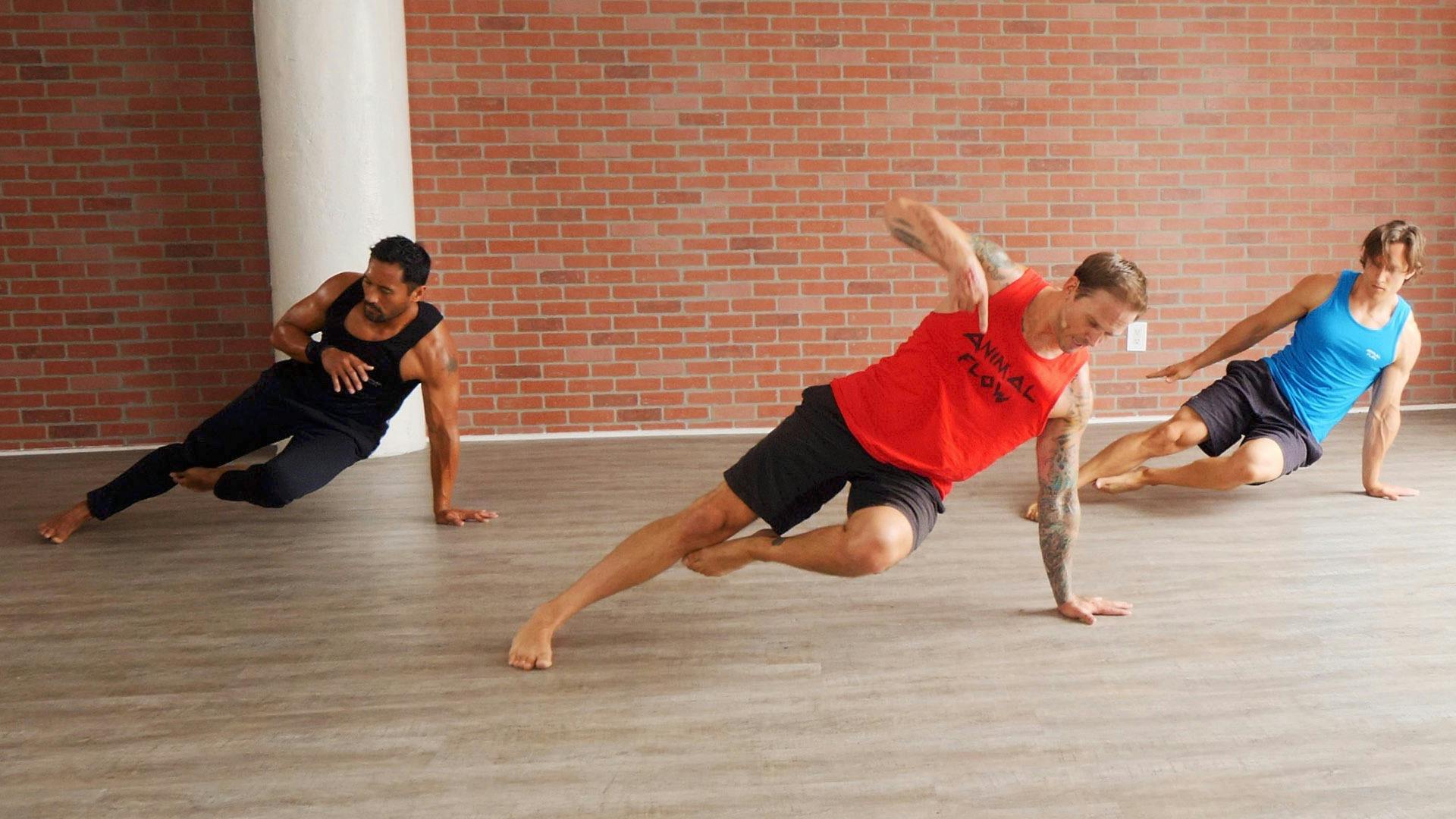 Mike's Flow Class #2 (Intermediate) | Animal Flow