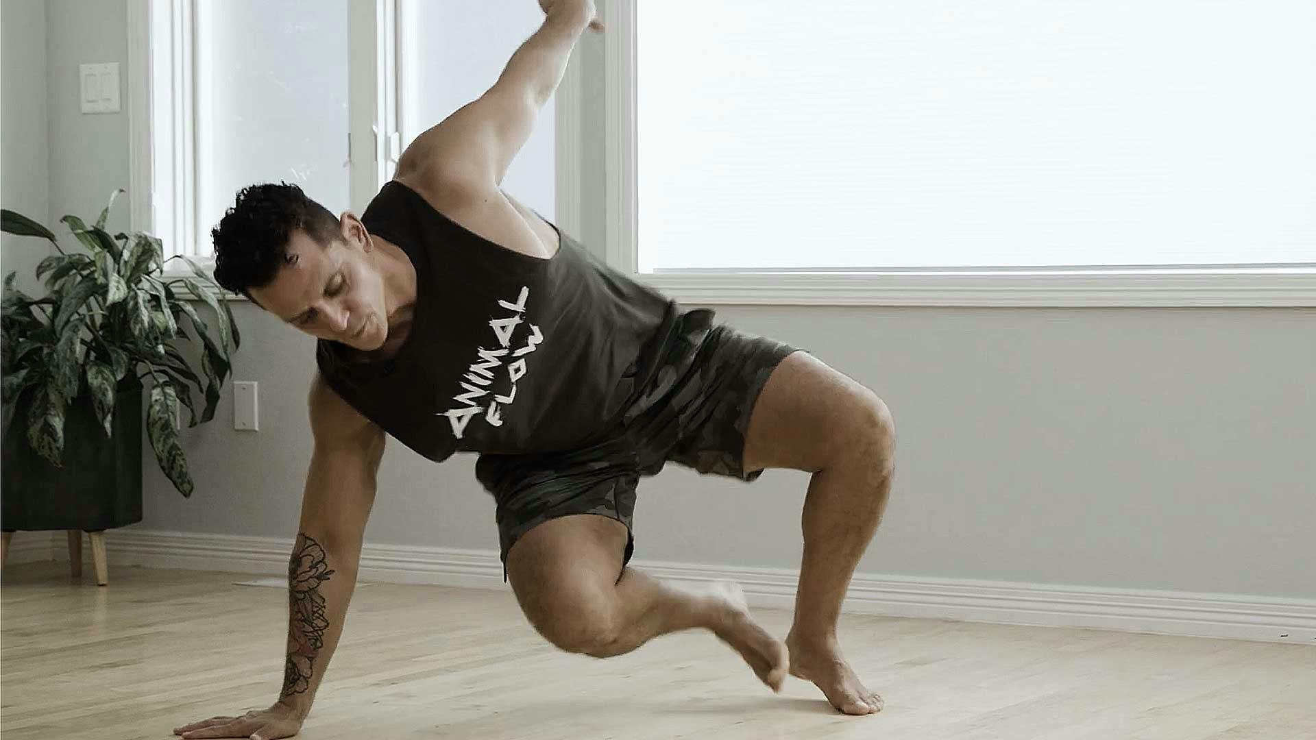 Flow with Freddy #8 (Beginner) | Animal Flow