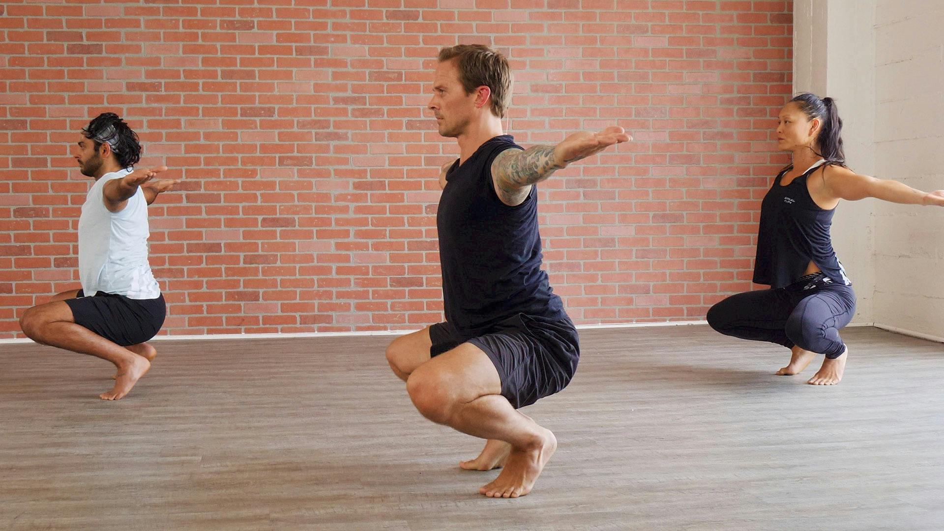 Mobility Class 3 - Strength (Intermediate) | Animal Flow