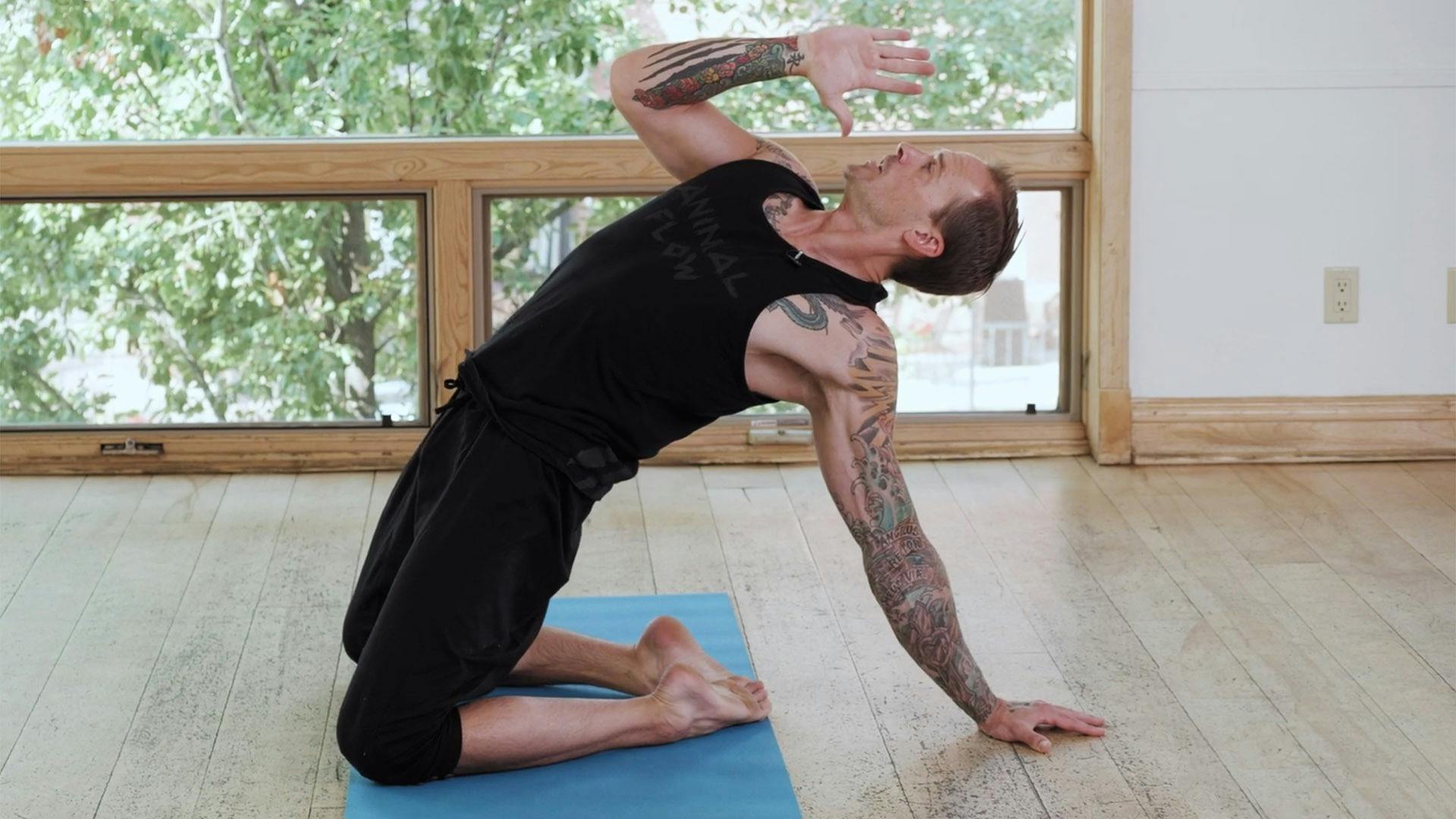 Mobility Class #7 (Fluid / Strength) | Animal Flow