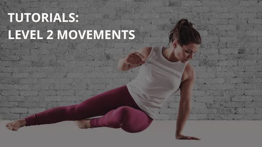 Tutorials: Level 1 Movements | Animal Flow