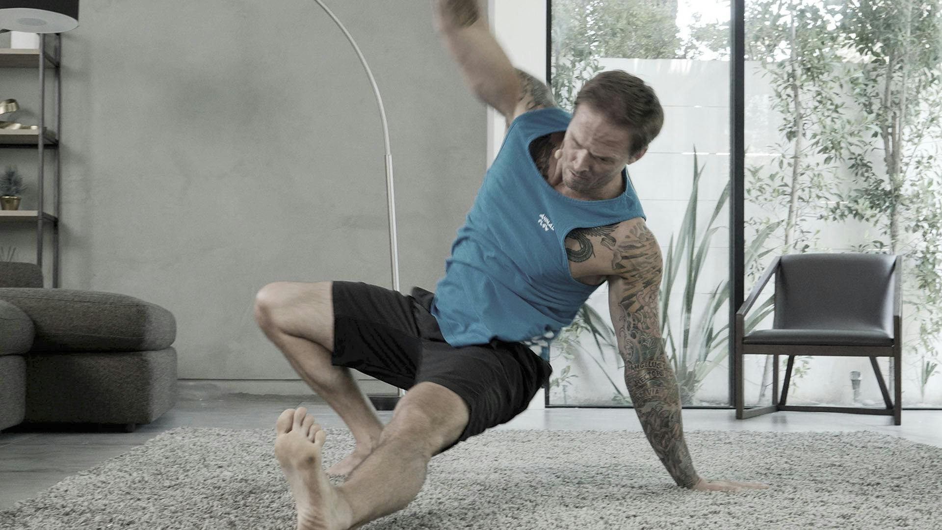 Flow with Mike #4 (Beginner) | Animal Flow