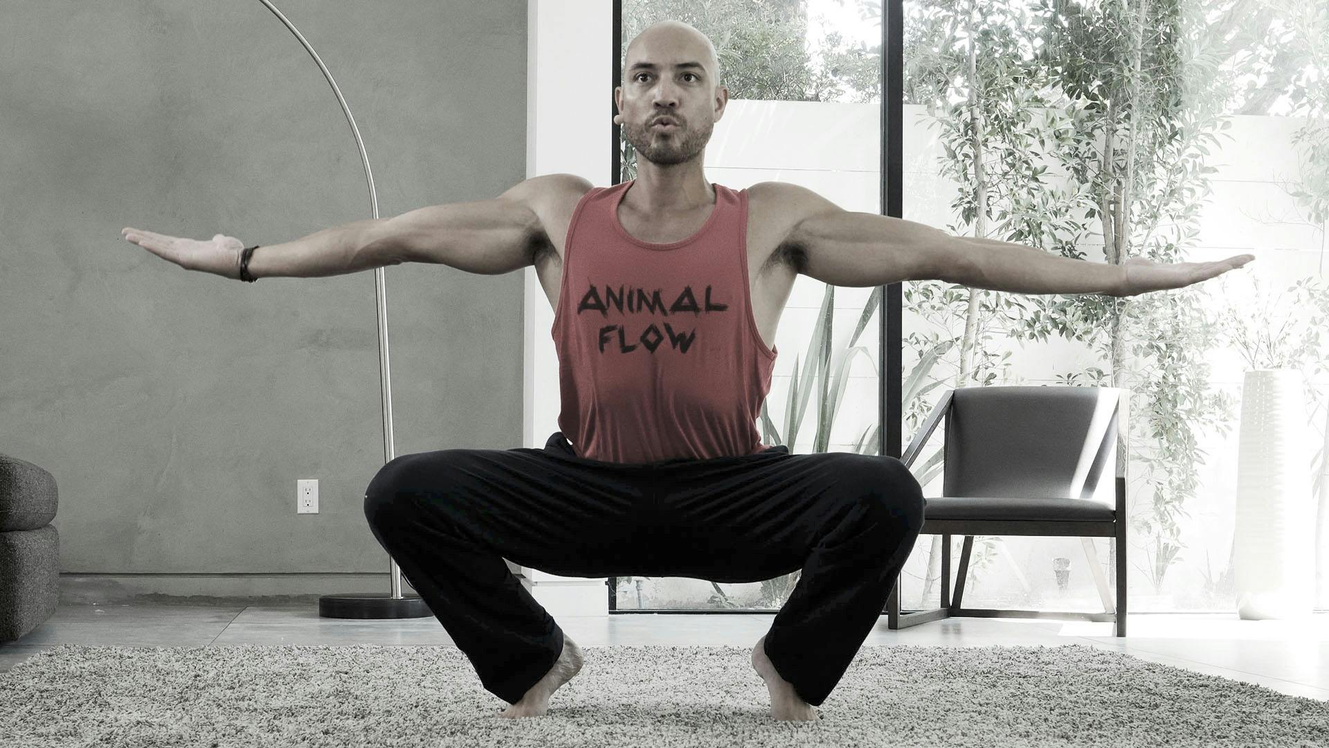 Flow with Chris #2 (Beginner) | Animal Flow